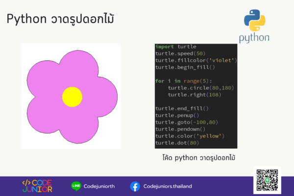 Python วาดรูปดอกไม้ - คอร์ส เรียนเขียนโปรแกรม เด็กอายุ 6-17 ปี เรียน ...