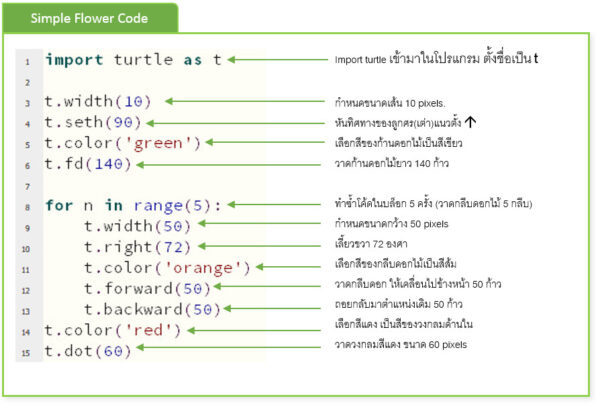 python Draw Simple Flower - คอร์ส เรียนเขียนโปรแกรม เด็กอายุ 6-17 ปี เรียนโค้ดดิ้งสำหรับเด็ก